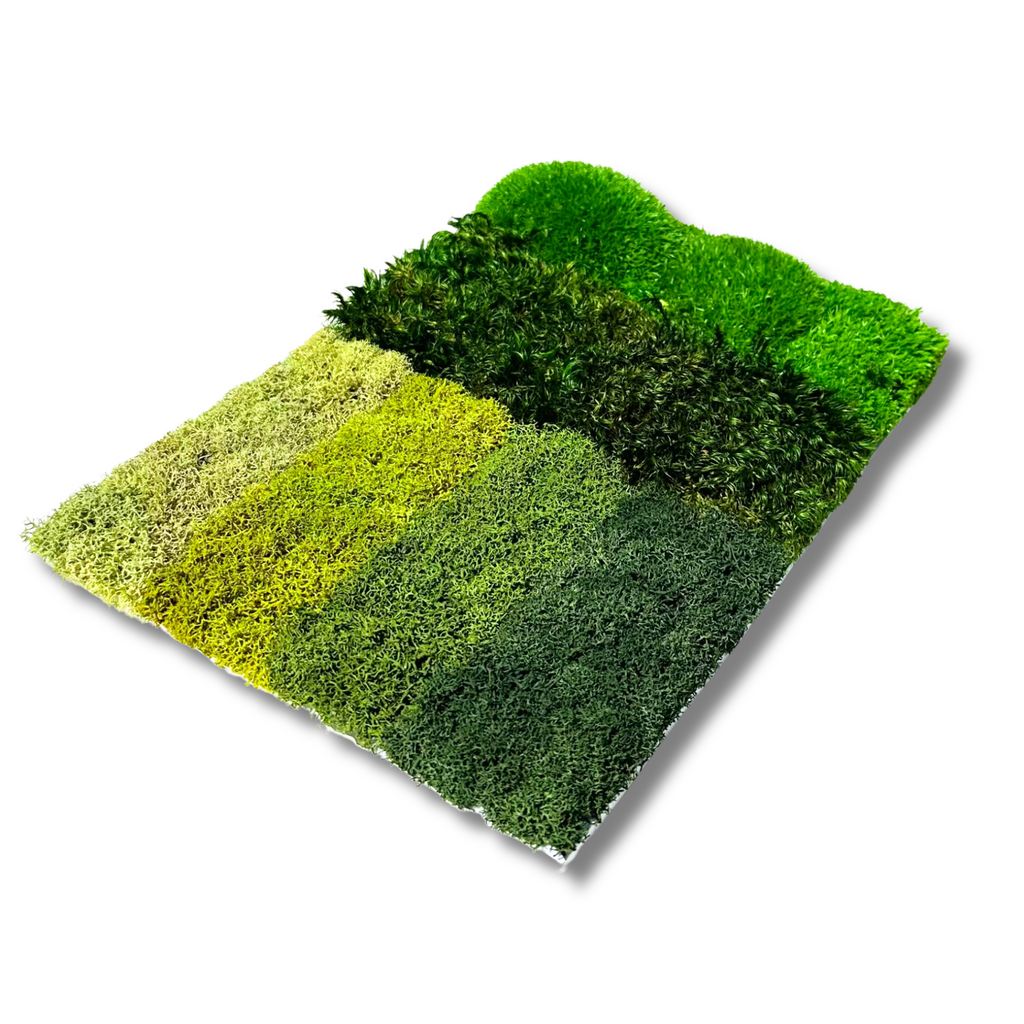 Moss Art Sample Box – The Savage Way
